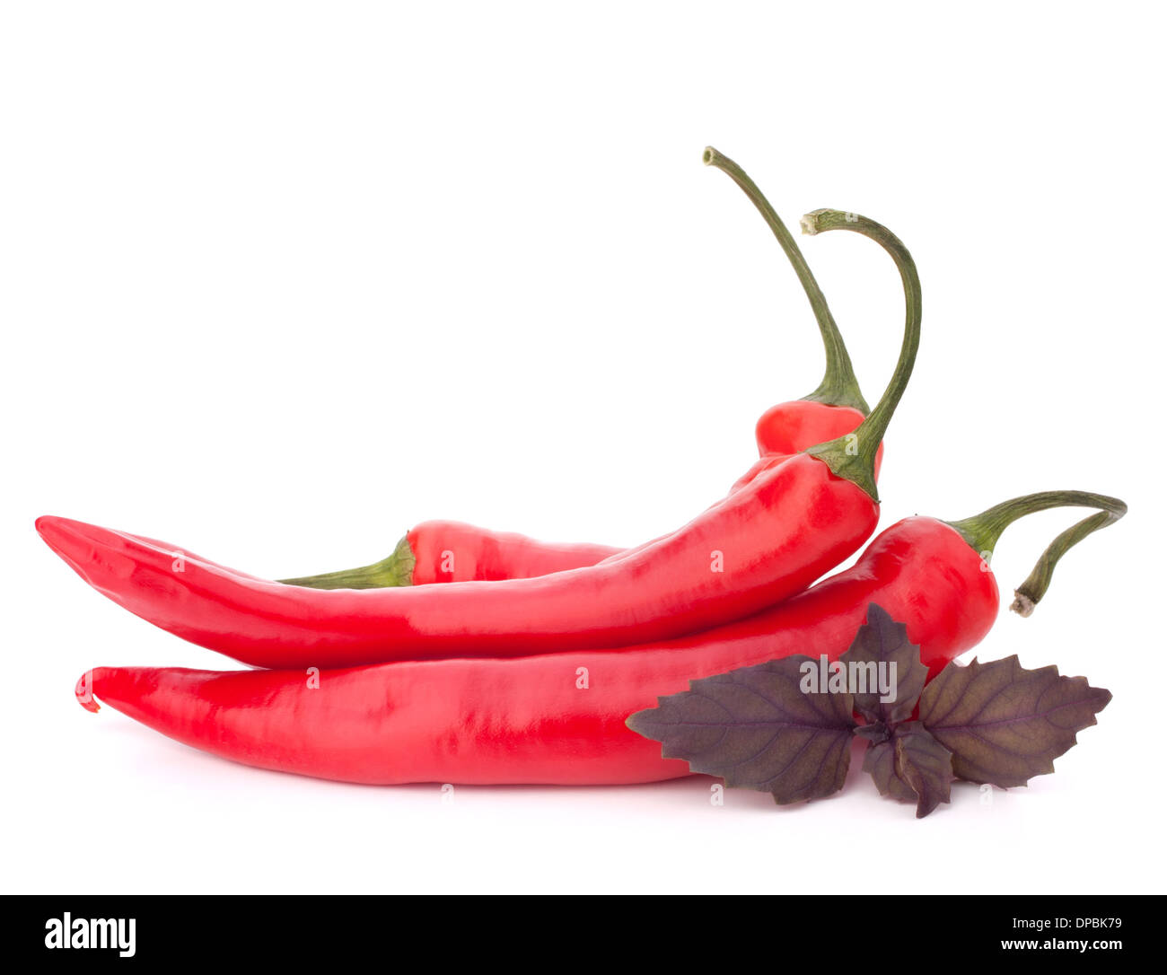 Hot red chili or chilli pepper and basil leaves still life isolated on ...