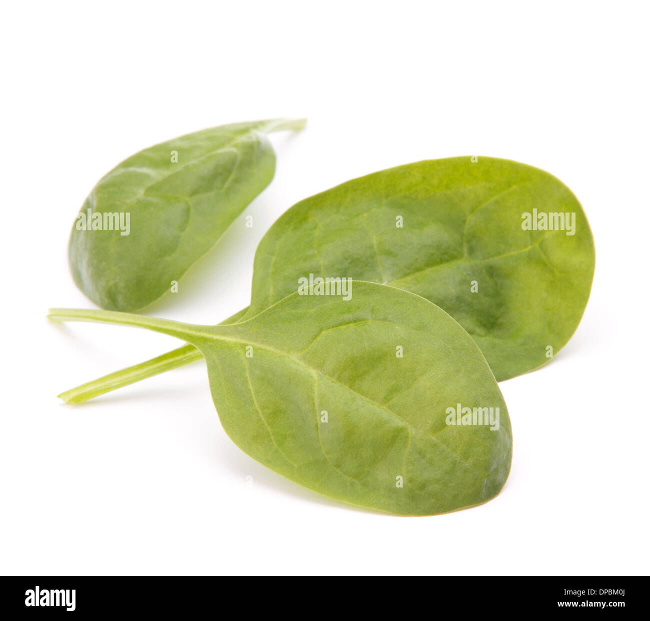 Spinach vegetables isolated on white background cutout Stock Photo - Alamy