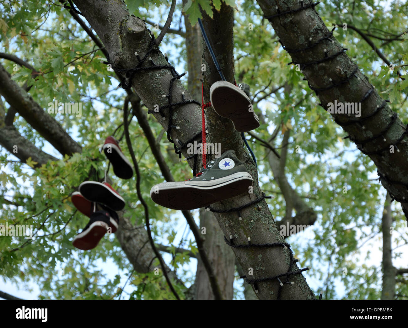 Shoe trees hi-res stock photography and images - Alamy
