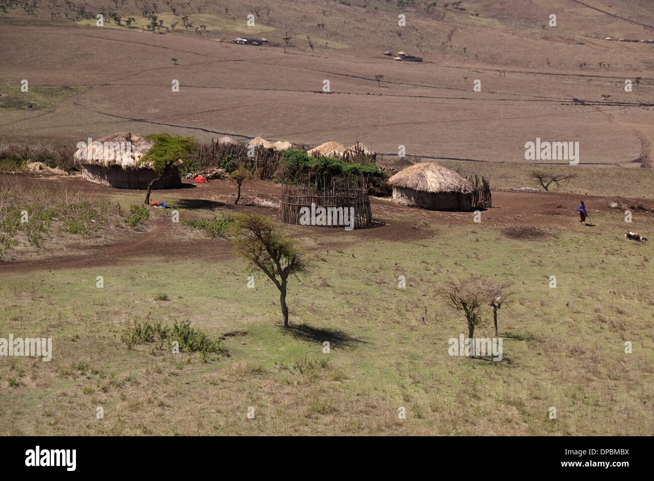 Maasai huts surrounded by Enkang barrier formed by a thick round 'fence ...