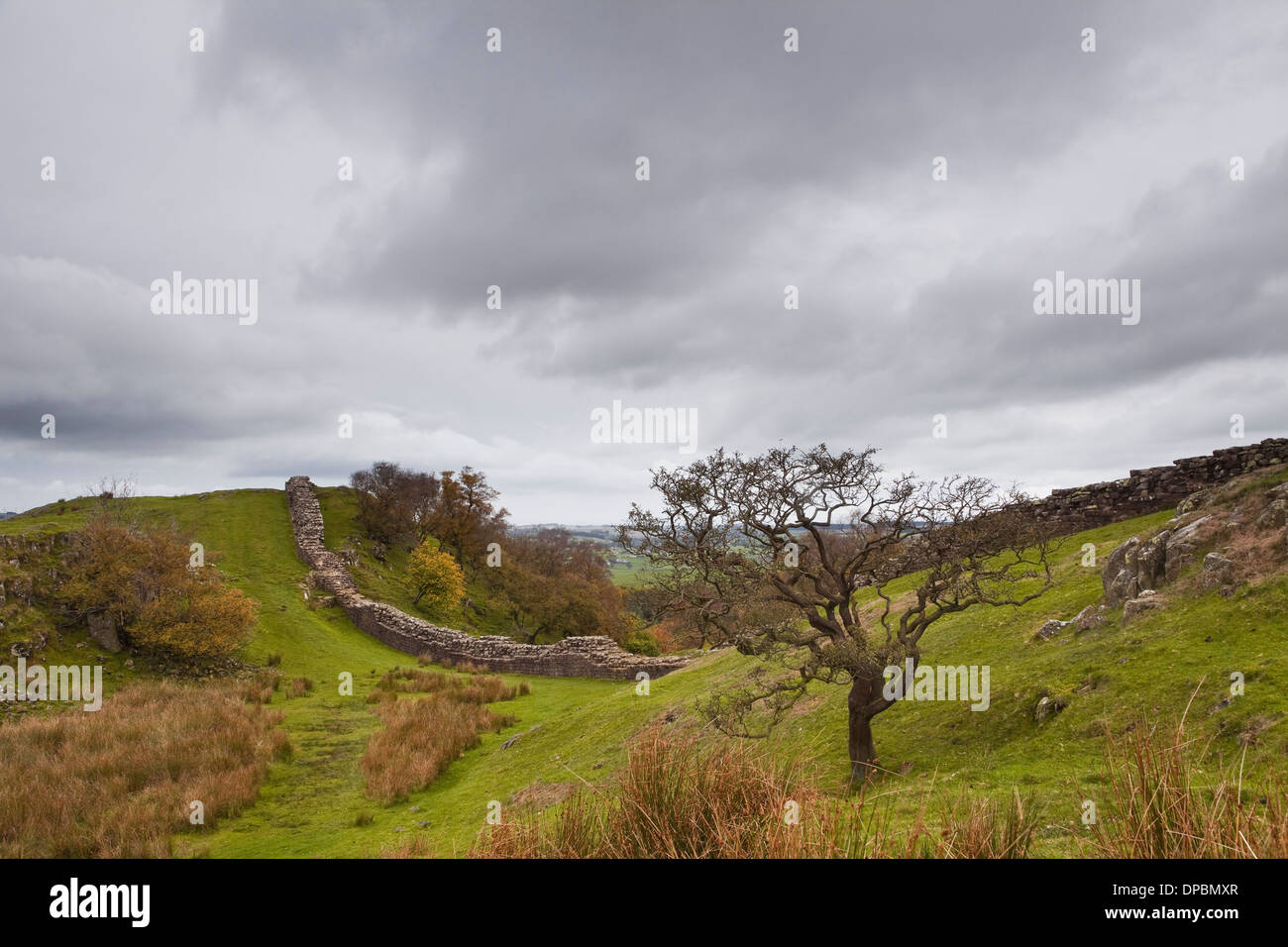 Hadrians wall in northumberland national park wall hi-res stock ...