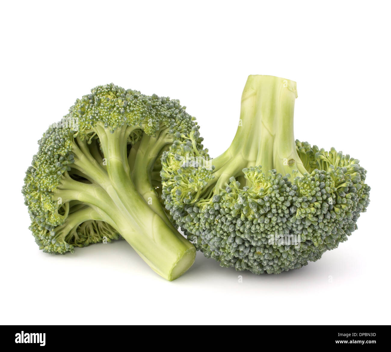 Broccoli vegetable isolated on white background Stock Photo - Alamy