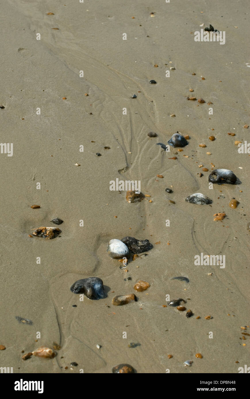 British seashore hi-res stock photography and images - Alamy