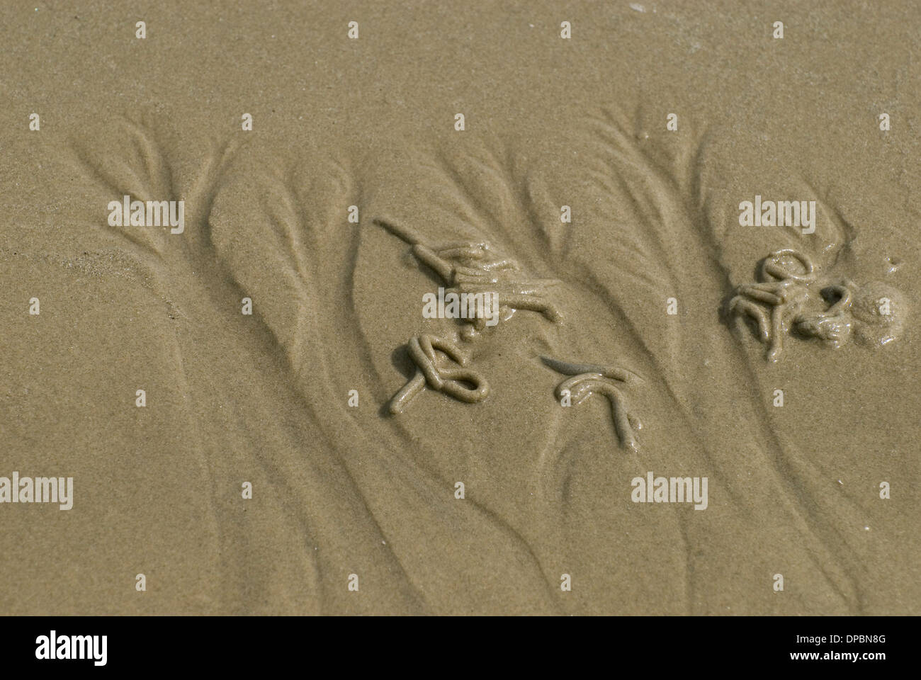 British seashore sand Stock Photo - Alamy