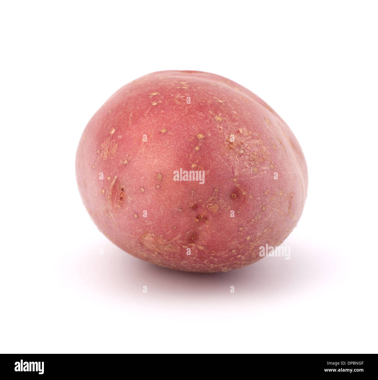 New potato tuber isolated on white background cutout Stock Photo - Alamy
