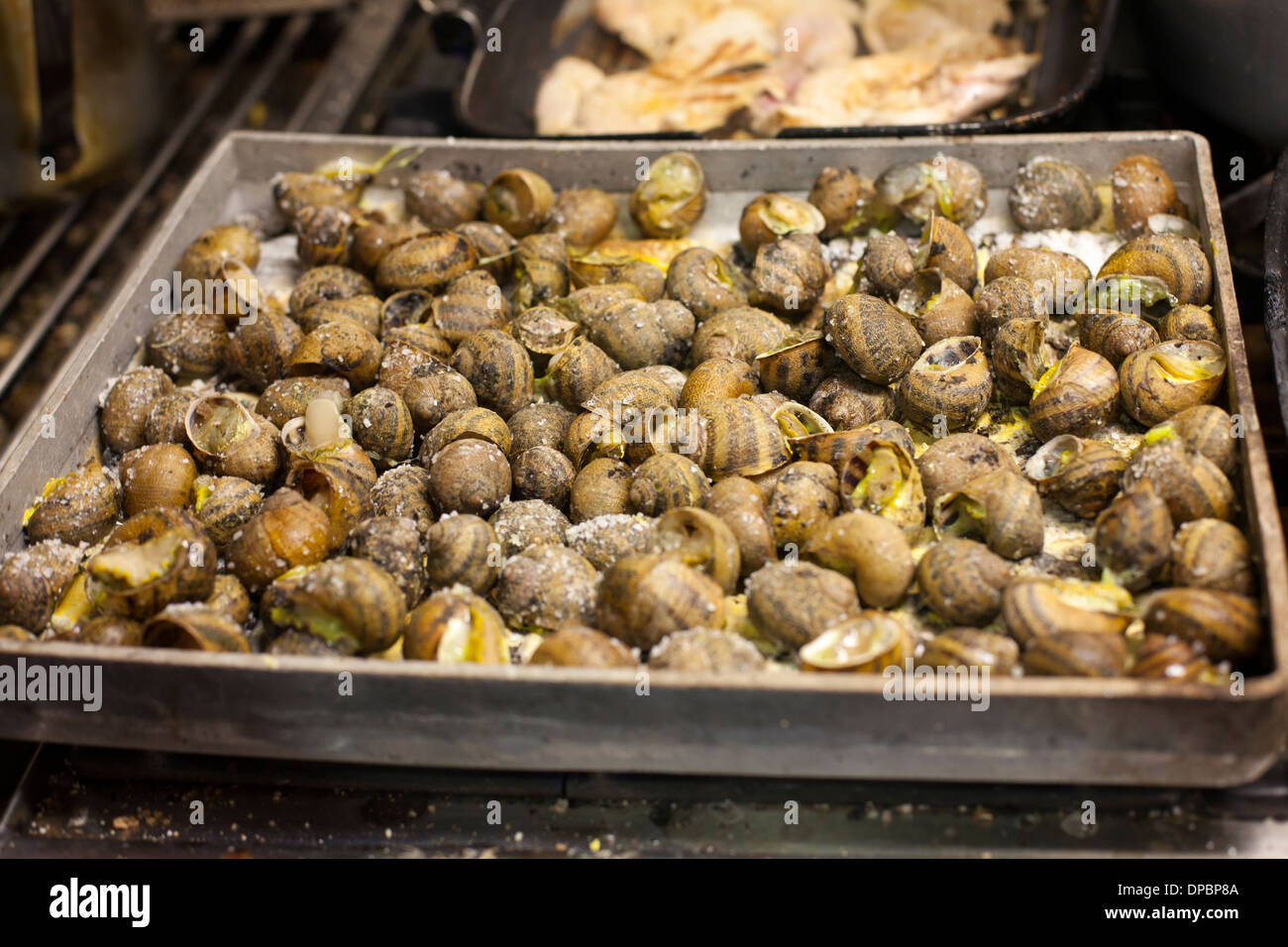 Snails in portugal hi-res stock photography and images - Alamy