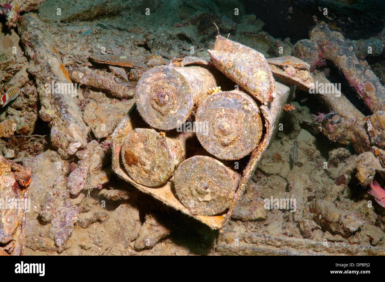 projectile on shipwreck "SS Thistlegorm". Red sea, Egypt, Africa Stock ...
