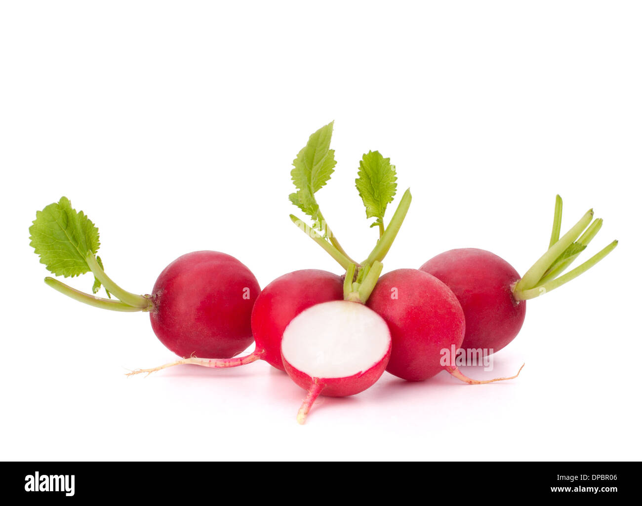 Small garden radish isolated on white background cutout Stock Photo - Alamy