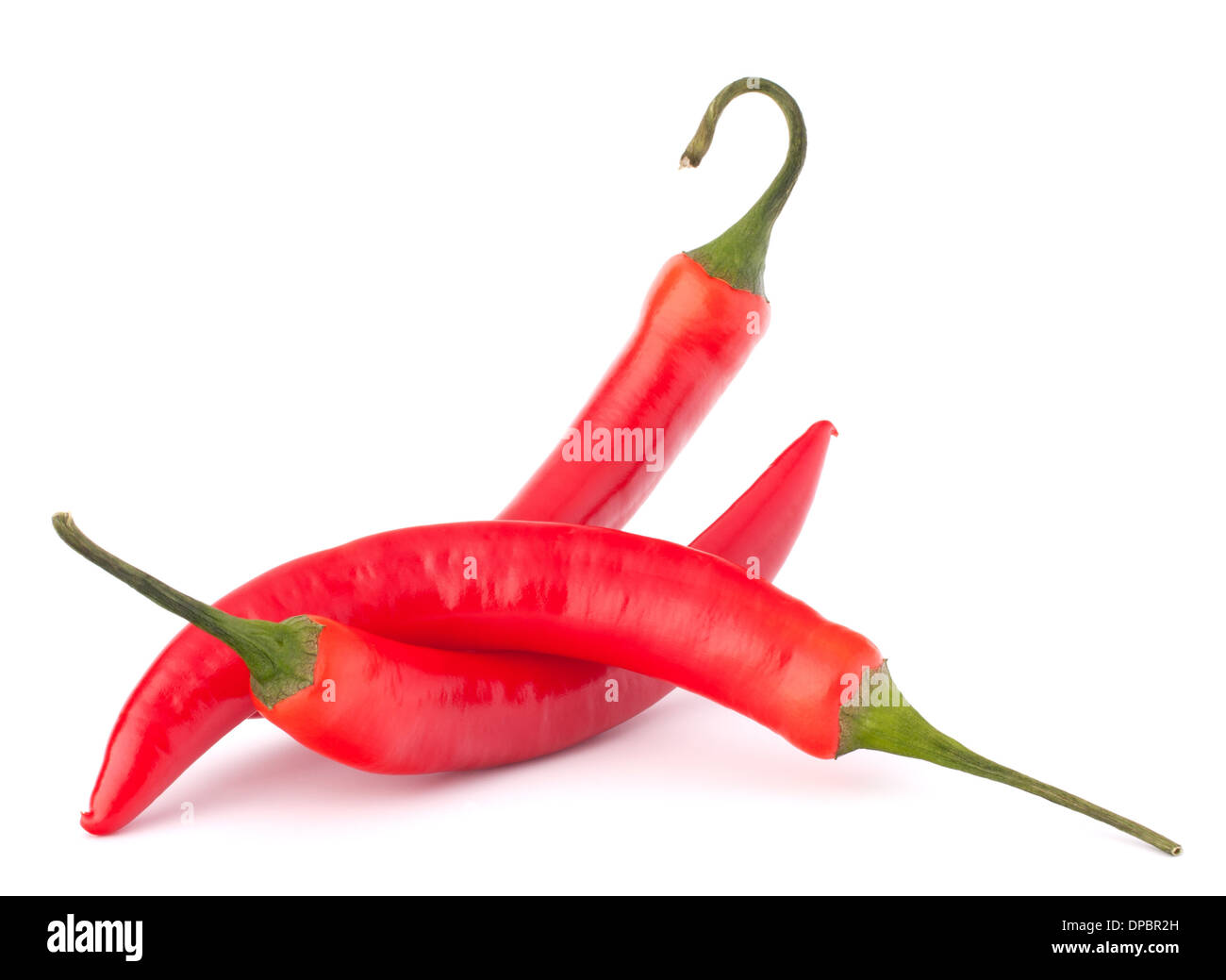 Hot red chili or chilli pepper still life isolated on white background ...