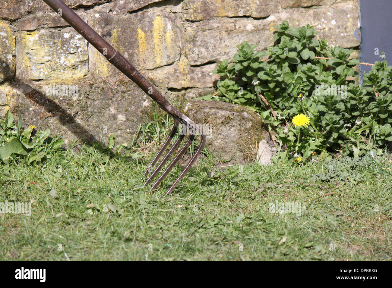 Dandelion rake hi-res stock photography and images - Alamy