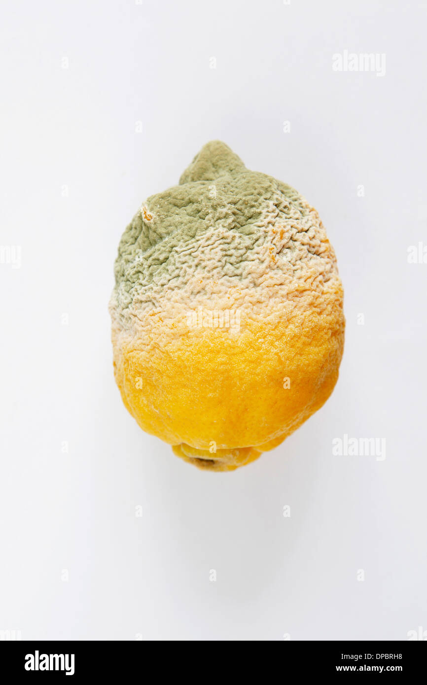 No rotting hi-res stock photography and images - Alamy