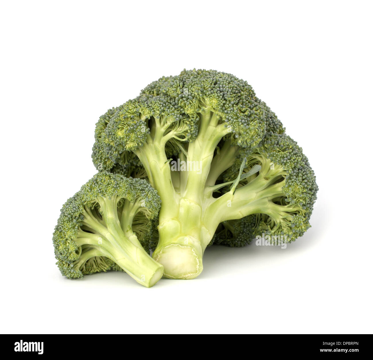 Broccoli vegetable isolated on white background Stock Photo - Alamy