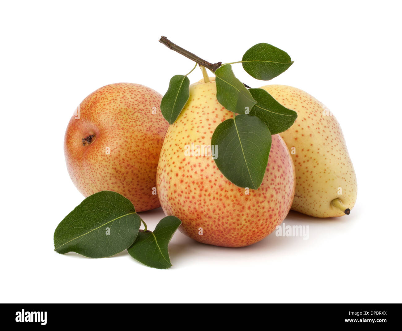 Pear fruits isolated on white background Stock Photo - Alamy