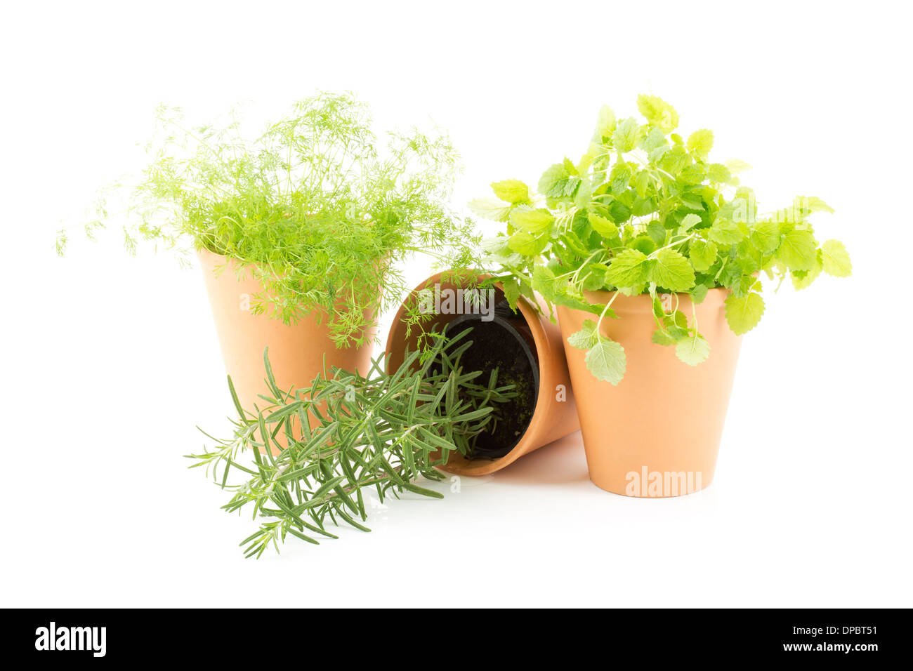 Shot flower pots in Cut Out Stock Images & Pictures - Alamy