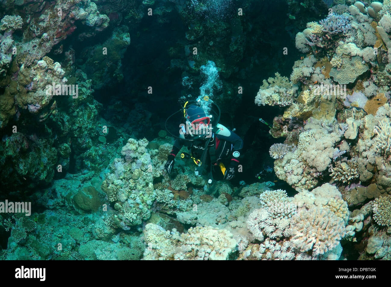 Diver in cave. Ras Muhammad National Park, Sinai Peninsula, Sharm el ...