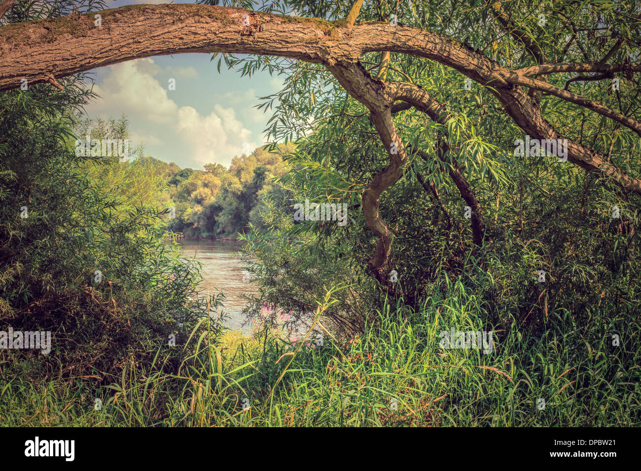 Hazy, dreamy looking picture of late summer at the river Severn at ...