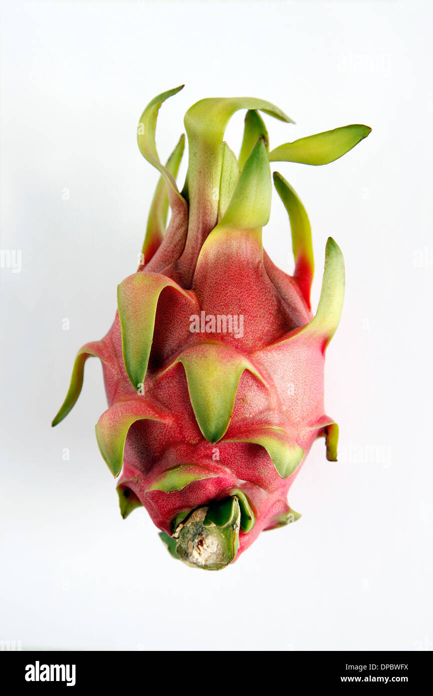 Dragon fruit, close up Stock Photo - Alamy