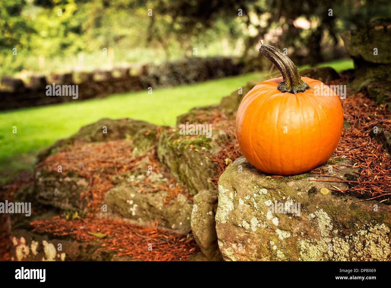 Ruined abbey wall hi-res stock photography and images - Alamy