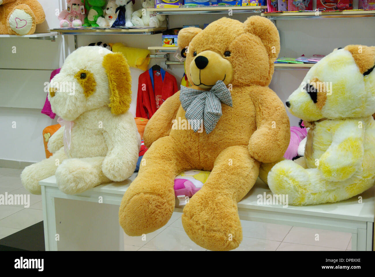 Cute store hi-res stock photography and images - Alamy