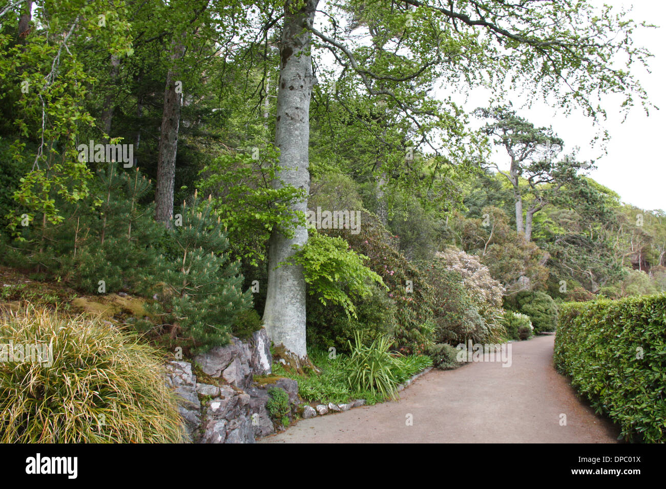 Inverewe Garden is a botanical garden in the Scottish Highlands, near ...