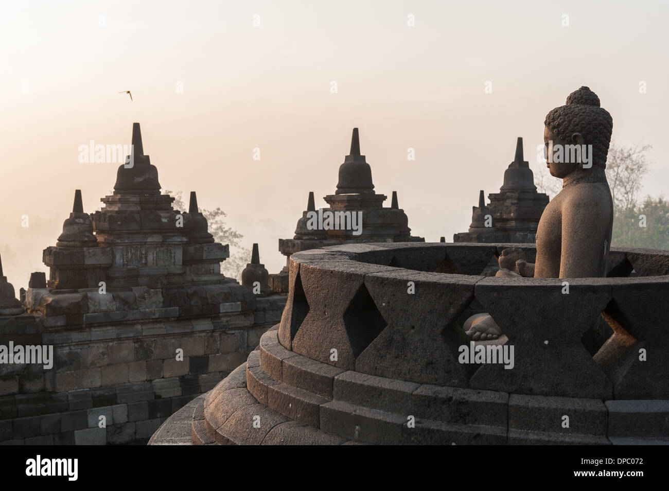 Sunrising over the stupas of the Buddhist temple of Borobudur, Java ...