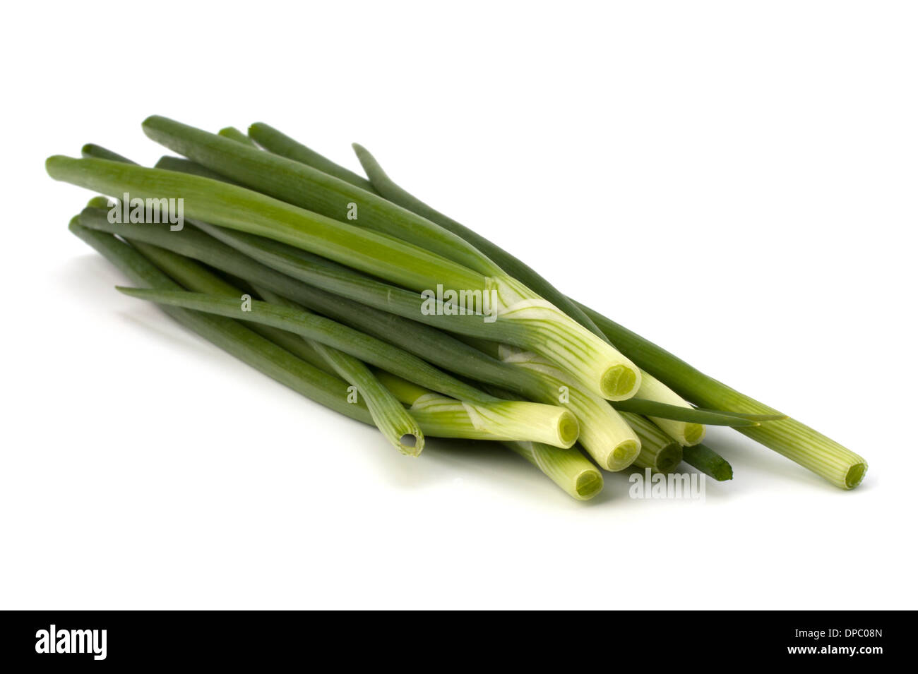 spring onion isolated on white backgroun close up Stock Photo - Alamy