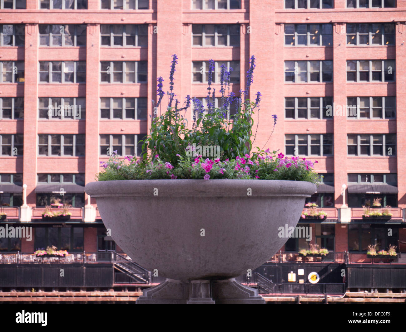 Flowers in front of the Reid-Murdoch Center in Chicago, Illinois Stock ...