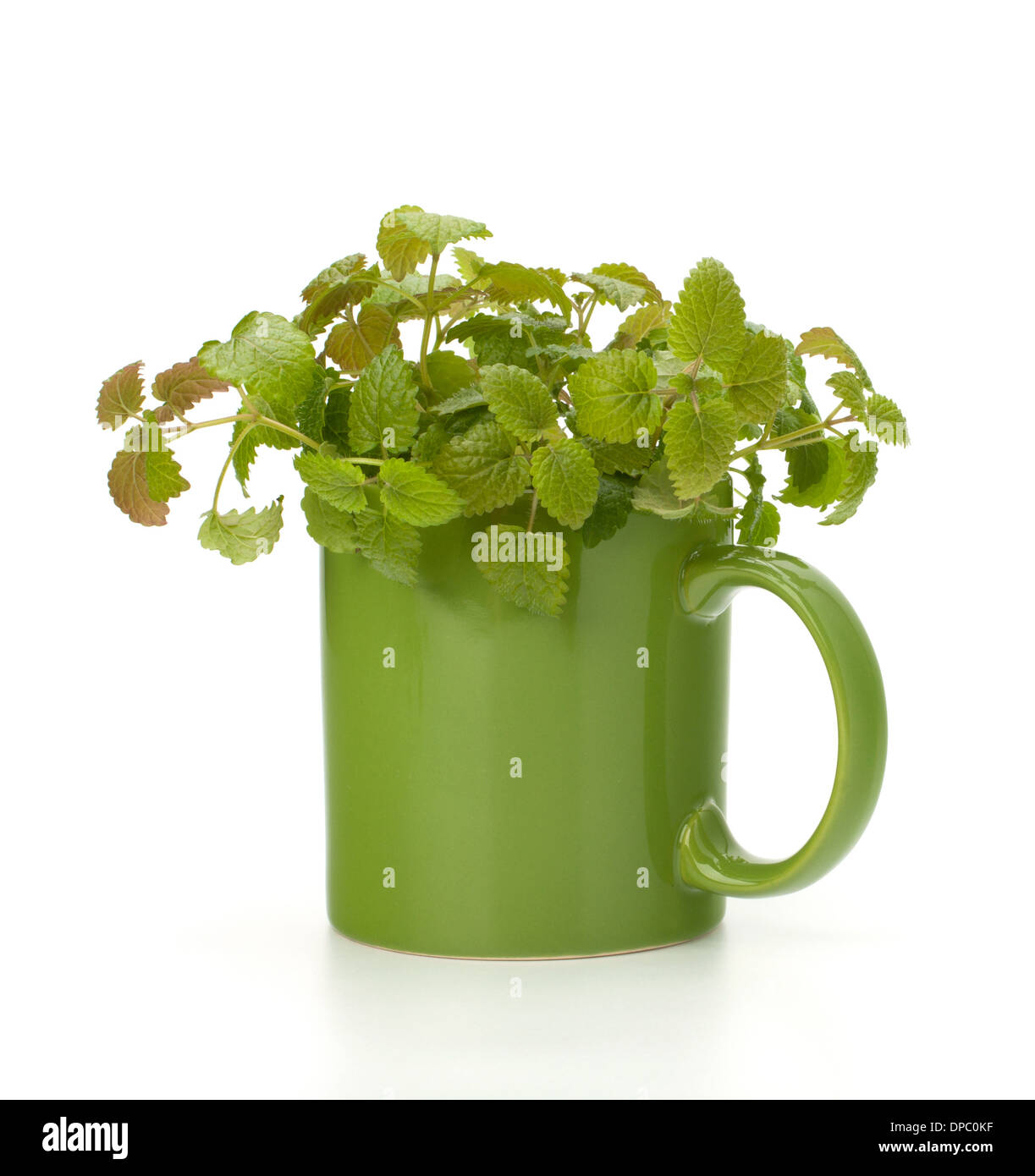 Herbal peppermint tea cup isolated on white background. Alternative ...