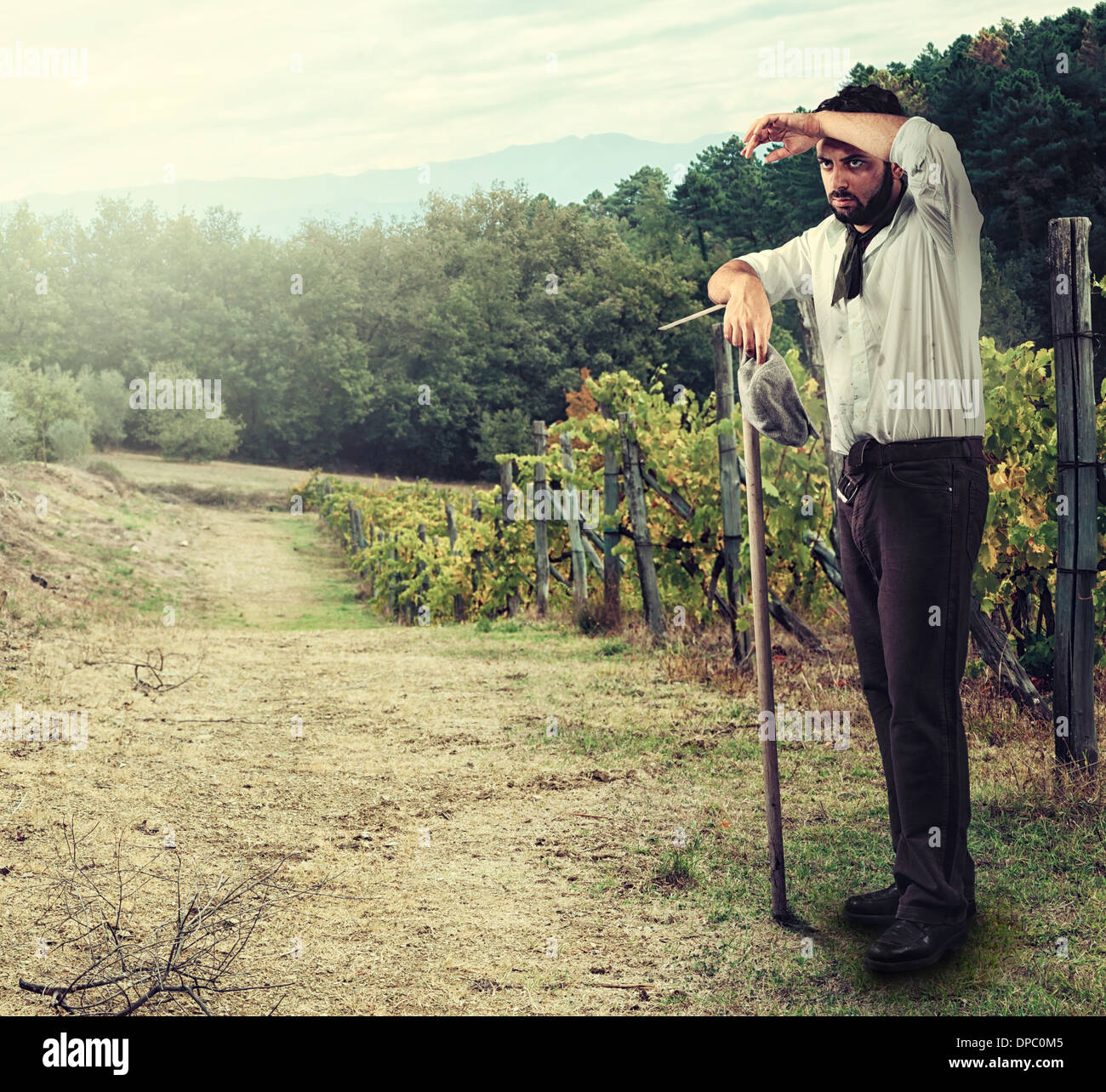 Tired Farmer in the vineyard leaning on the hoe Stock Photo - Alamy