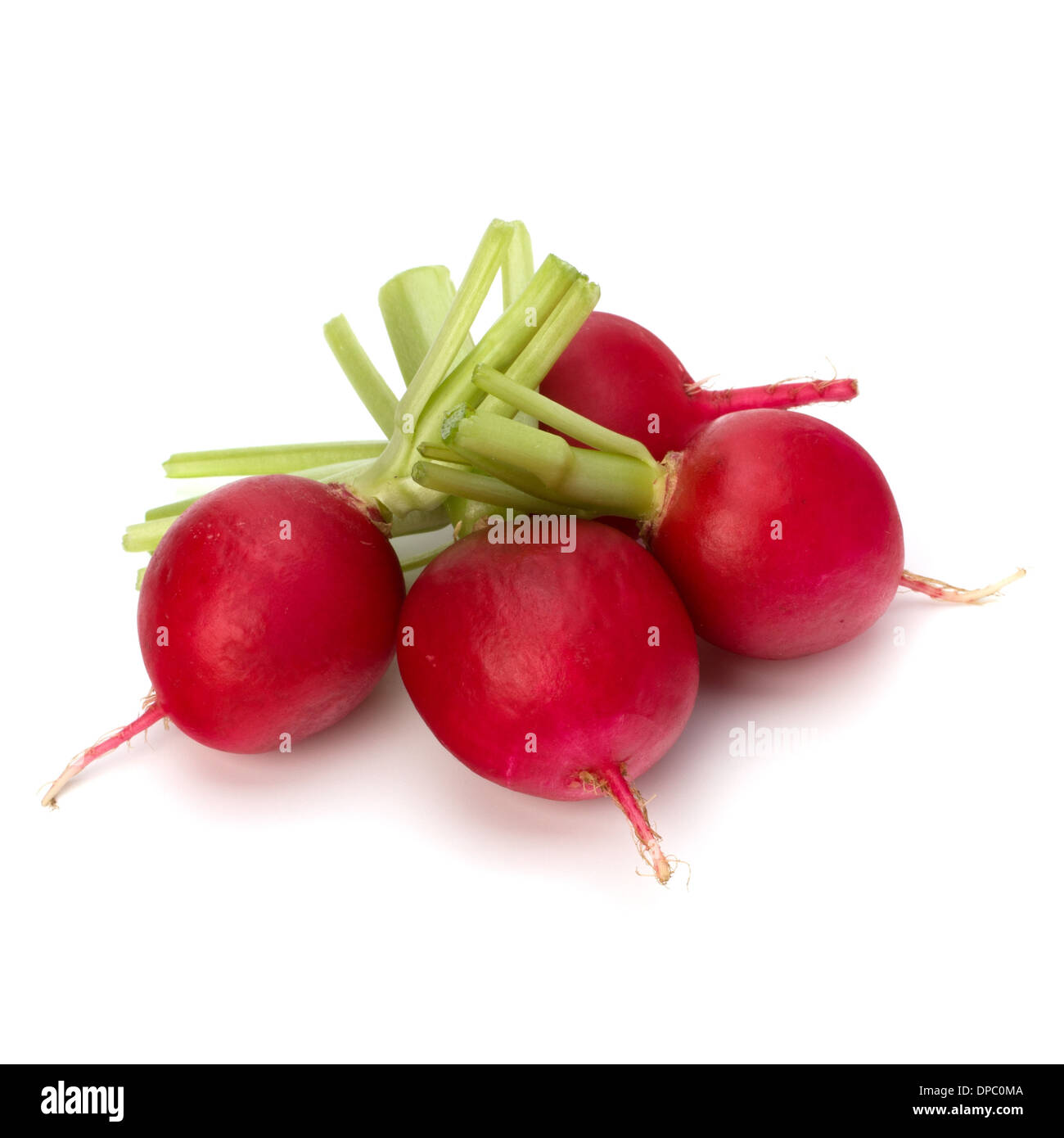 Small garden radish isolated on white background Stock Photo - Alamy