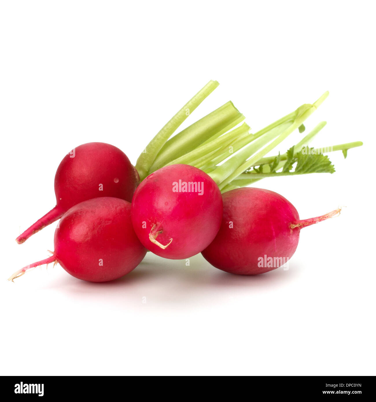 Small garden radish isolated on white background Stock Photo - Alamy