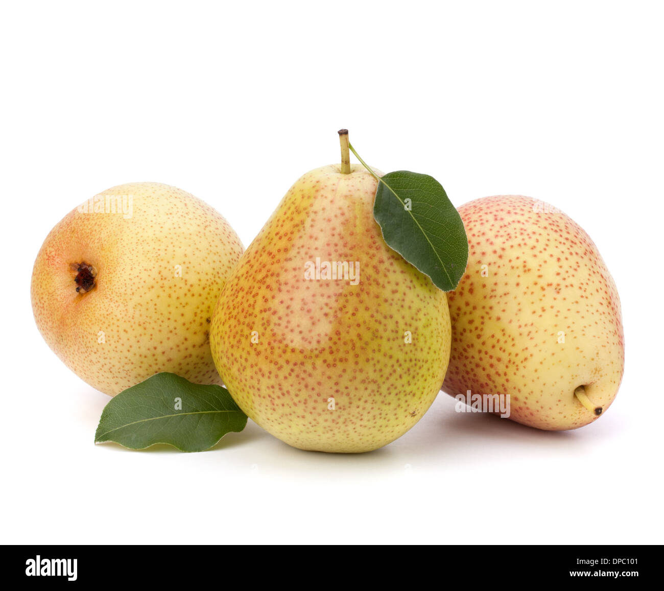 Pear fruits isolated on white background Stock Photo - Alamy