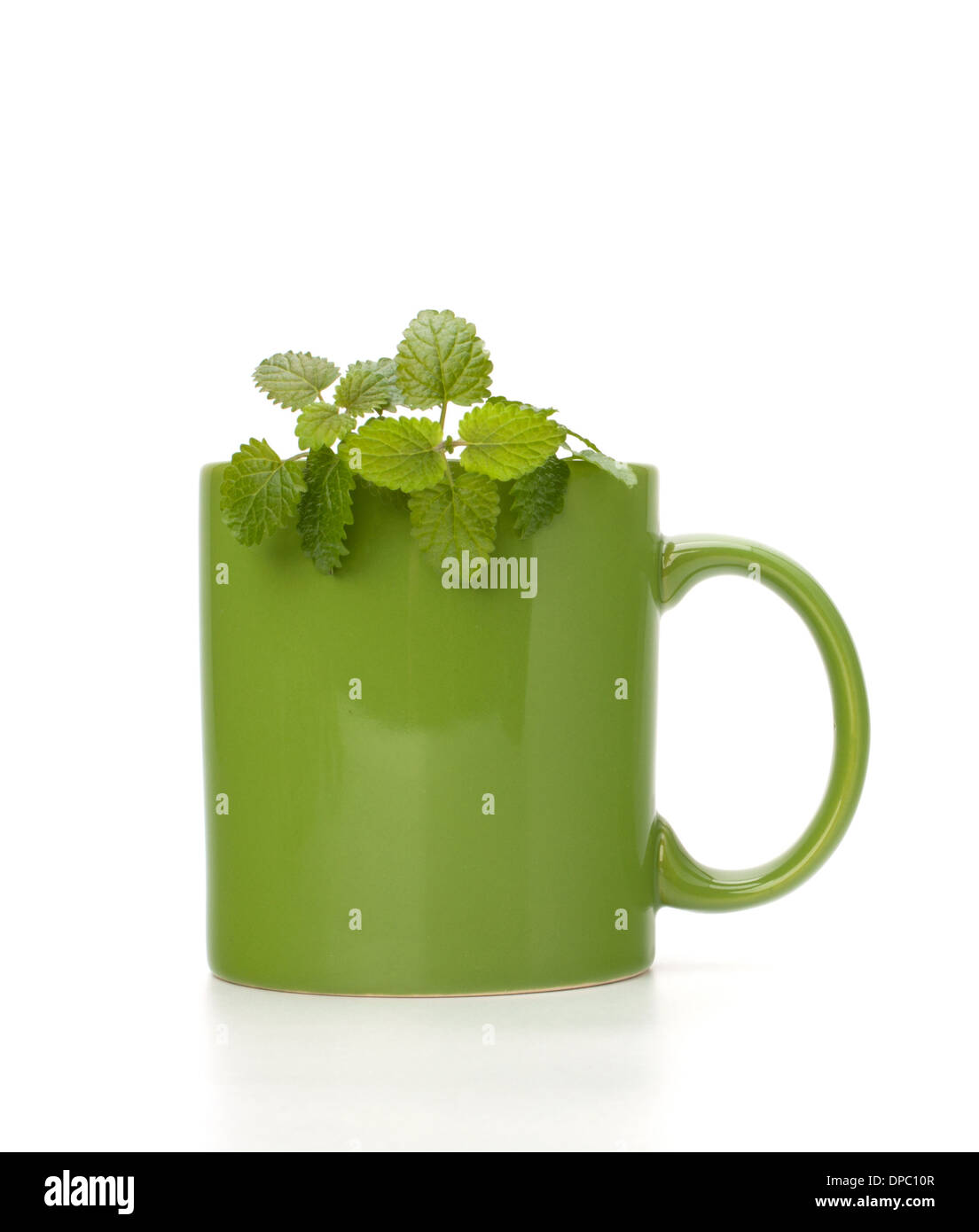 Herbal peppermint tea cup isolated on white background. Alternative ...