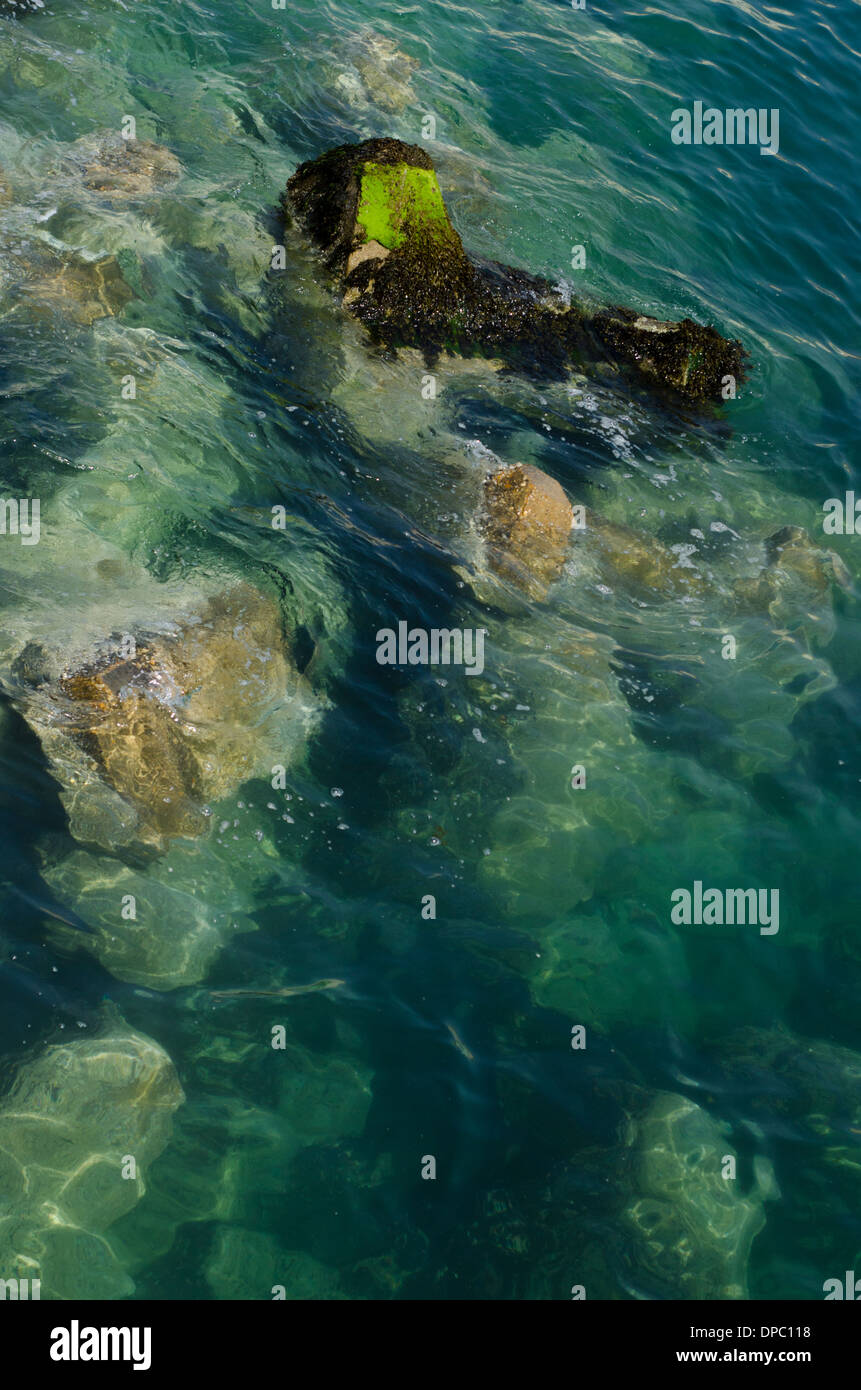 Beautiful seabed hi-res stock photography and images - Alamy