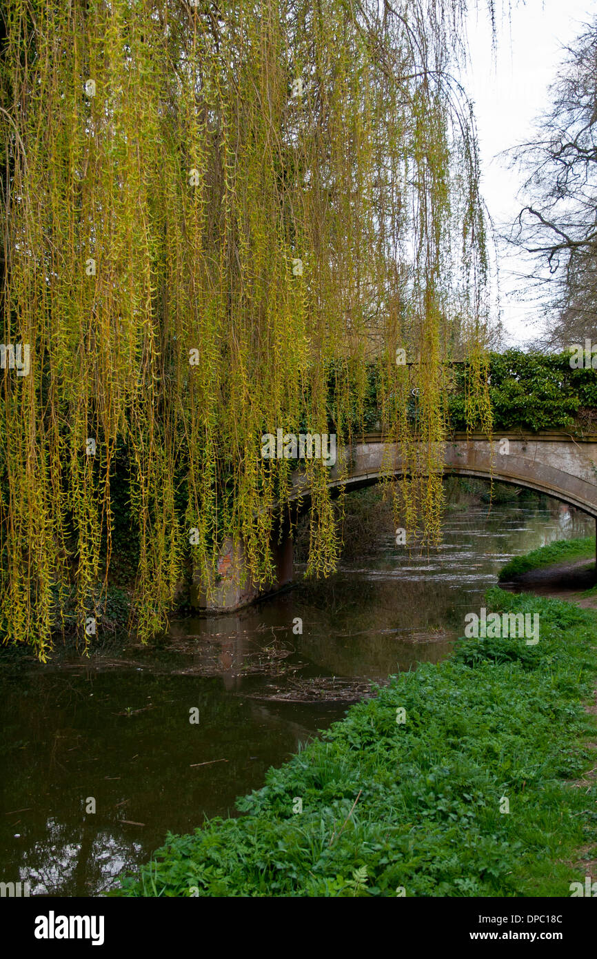 Willow bridge hi-res stock photography and images - Alamy