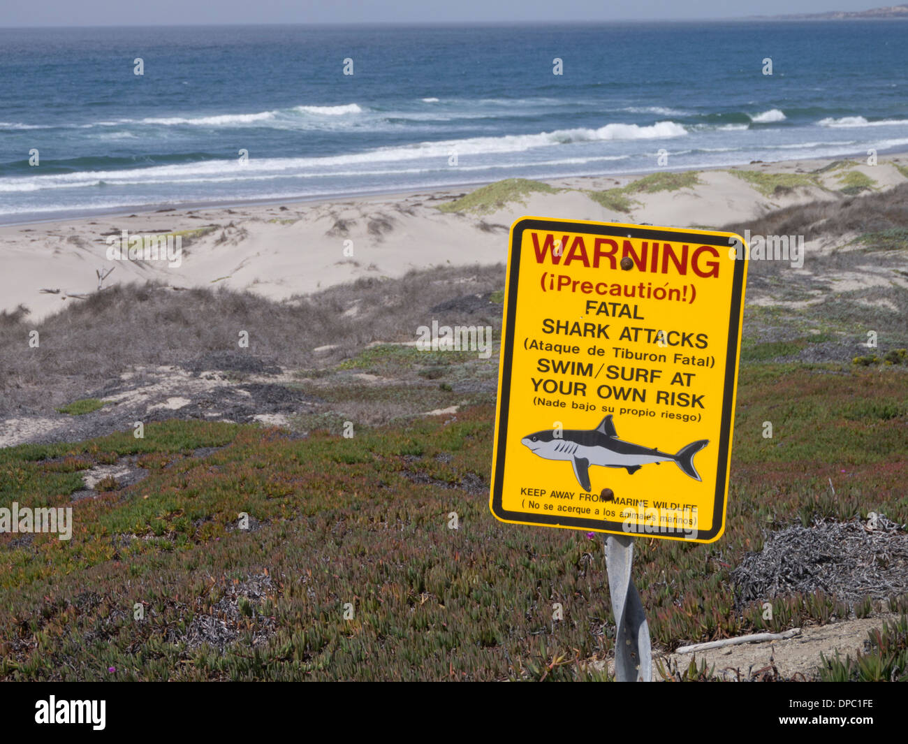 Lompoc surf hi-res stock photography and images - Alamy