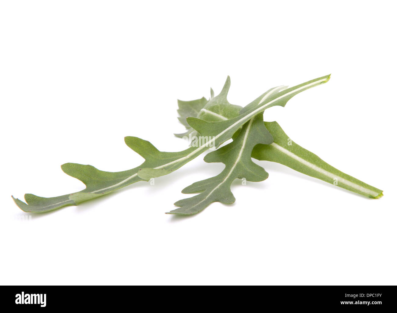 Sweet rucola salad or rocket lettuce leaves isolated on white ...