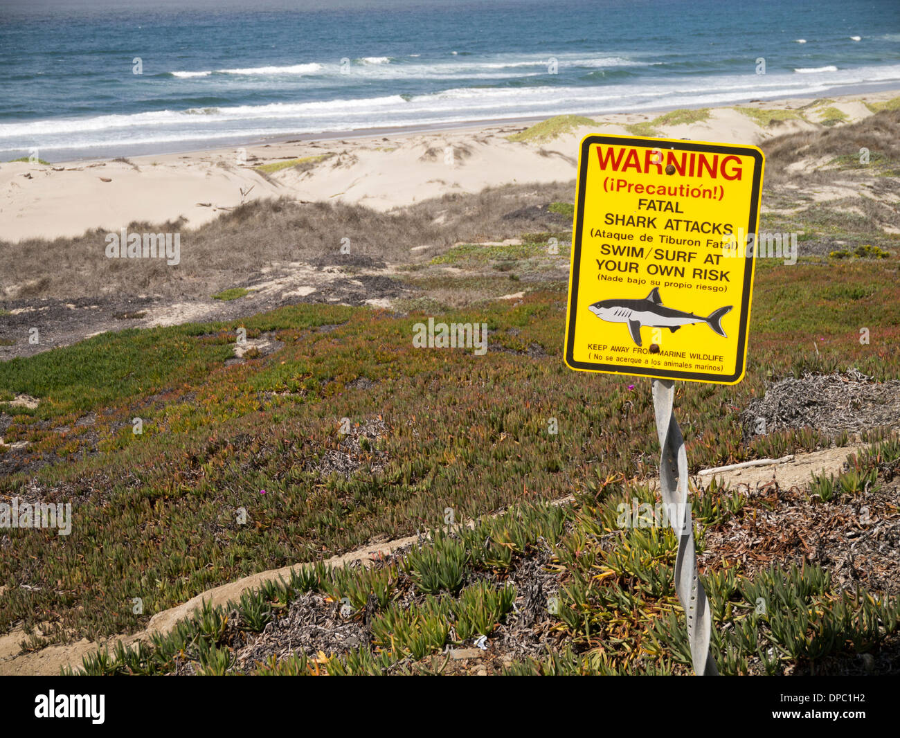 Notice warning swimmers of shark attacks by Lompoc-Surf Amtrac station ...