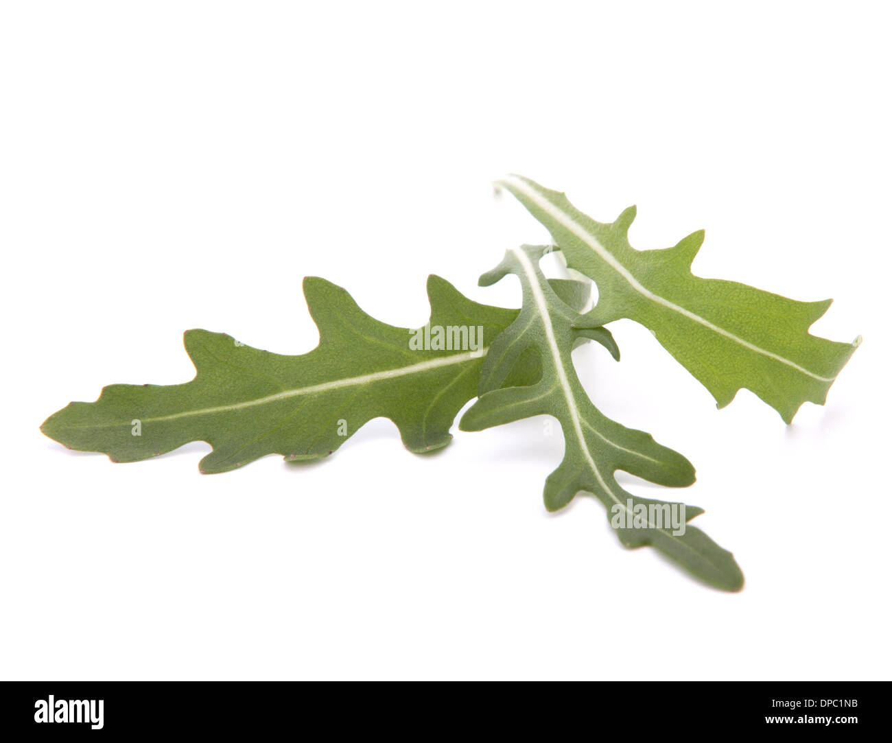 Sweet rucola salad or rocket lettuce leaves isolated on white ...