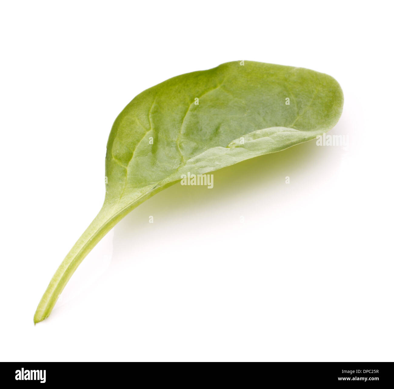 Spinach vegetables isolated on white background cutout Stock Photo - Alamy