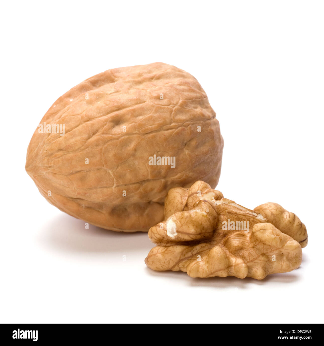 Circassian walnut isolated on white background Stock Photo - Alamy
