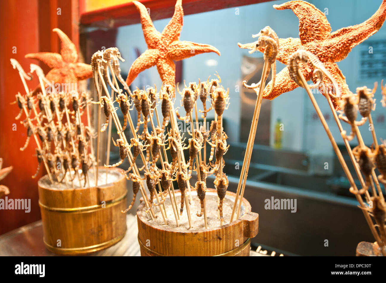 fried scorpions at Wangfujing Snack Street in Dongcheng District ...