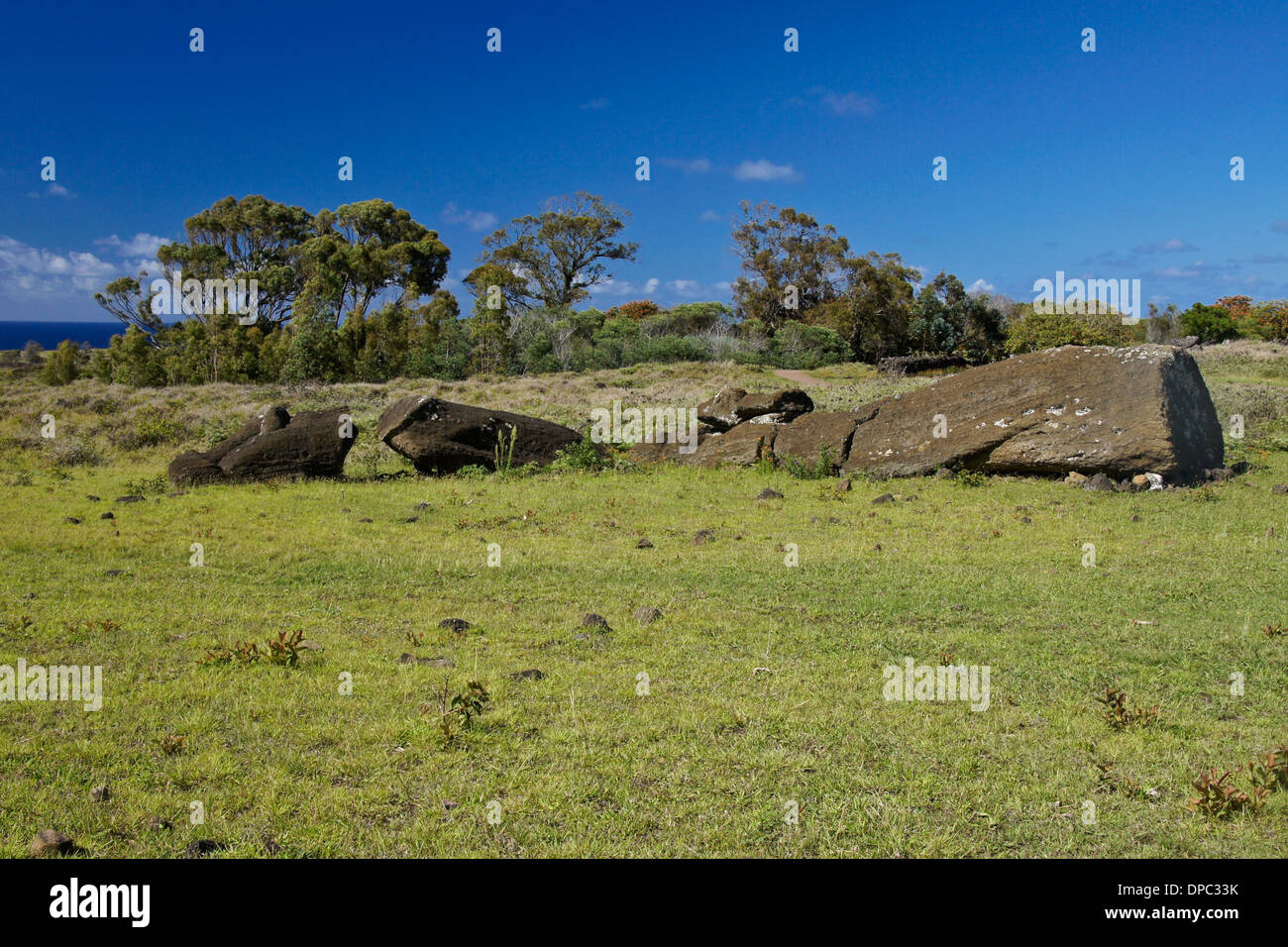 Easter island statues ground hi-res stock photography and images - Alamy