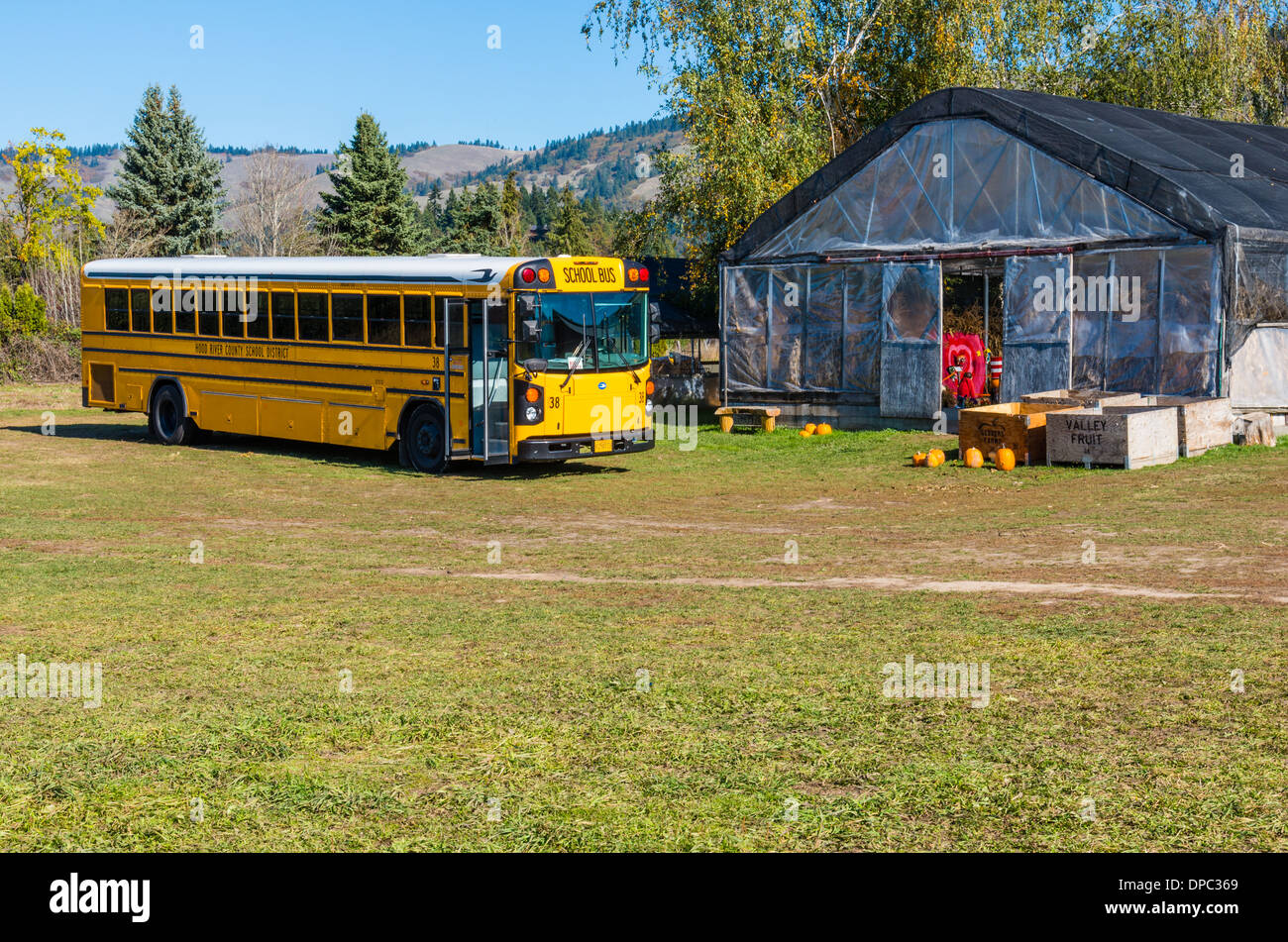 School bus hood hi-res stock photography and images - Alamy