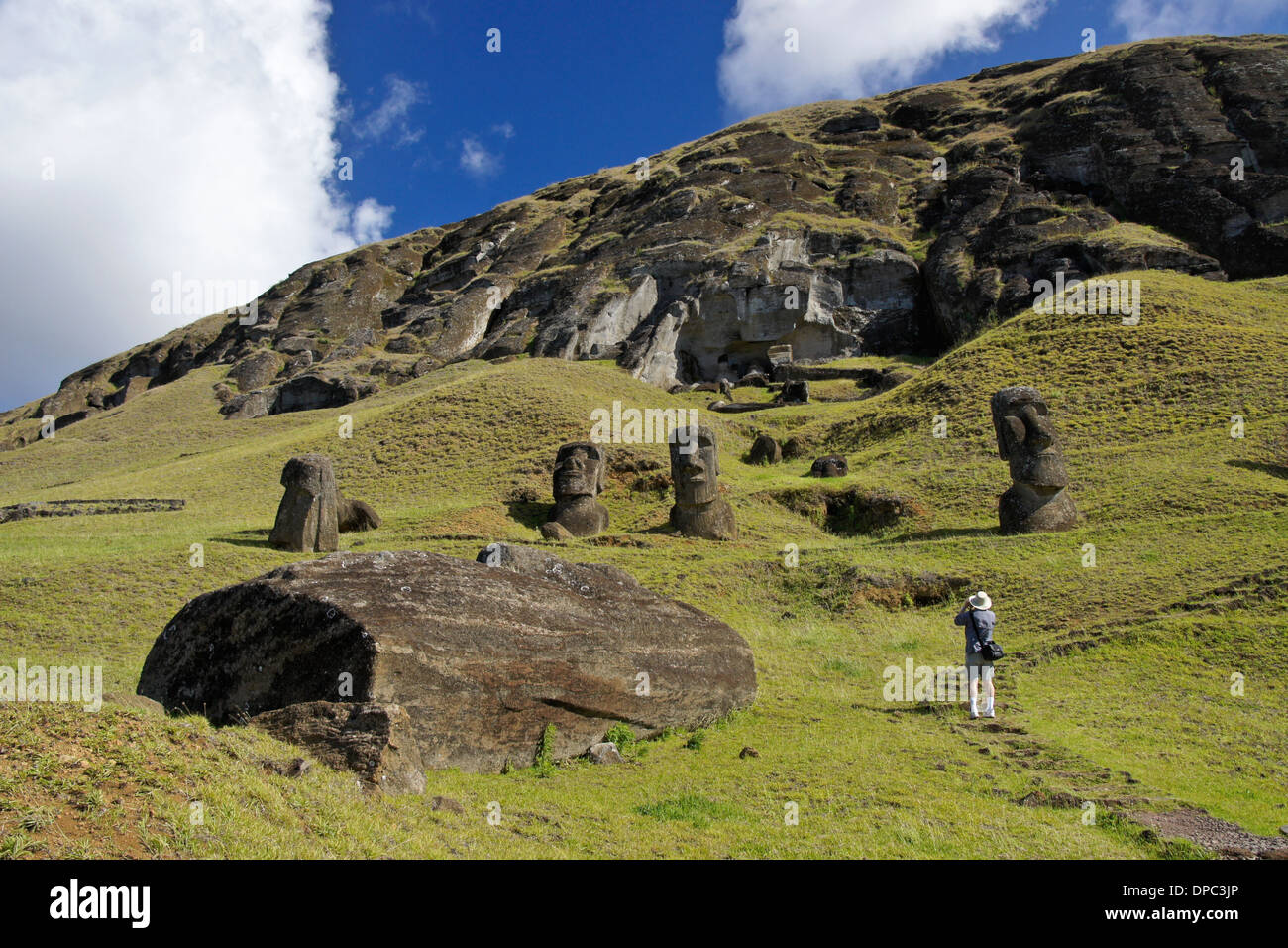 Moai at Rano Raraku quarry, Easter Island, Chile Stock Photo - Alamy
