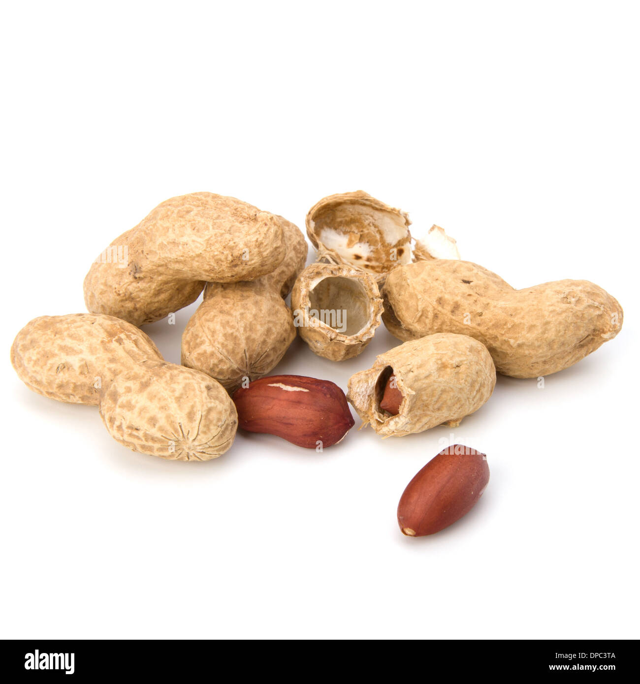 Peanut isolated on white background Stock Photo - Alamy