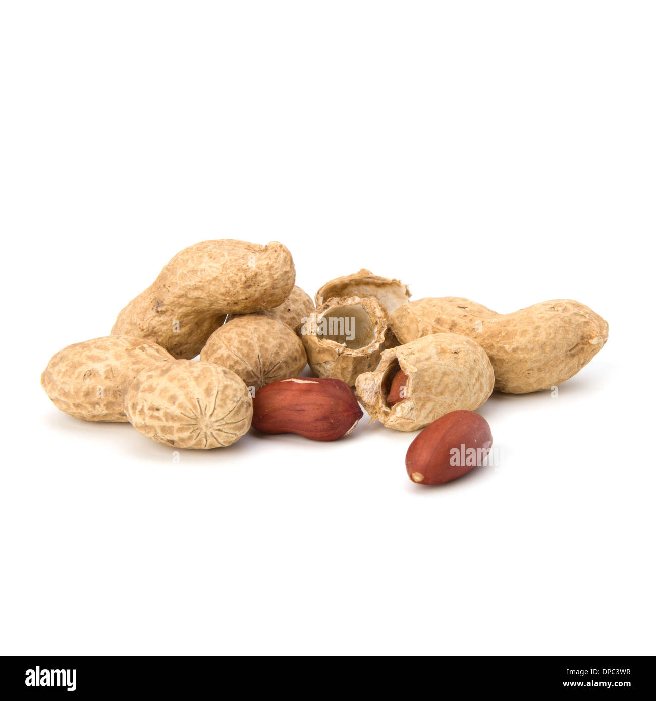 Peanut isolated on white background Stock Photo - Alamy