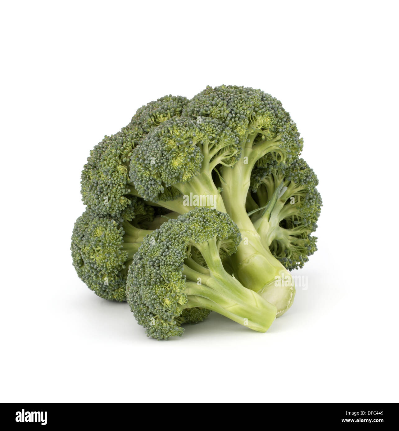 Broccoli vegetable isolated on white background Stock Photo - Alamy
