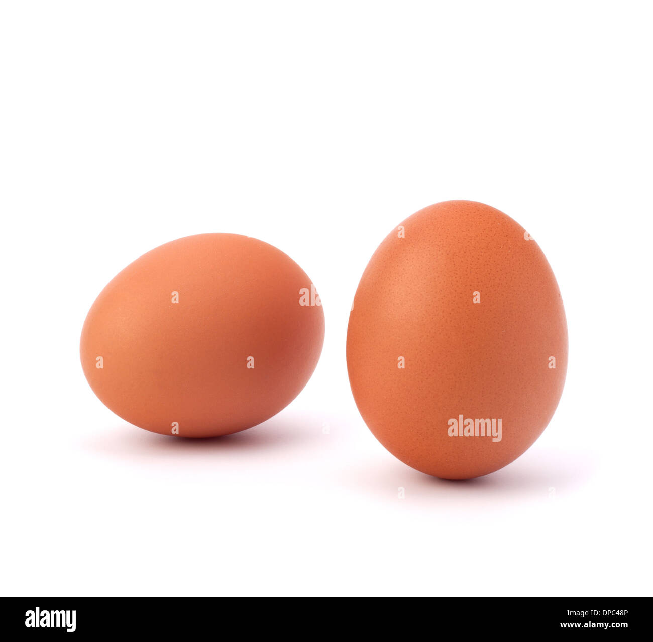 two eggs isolated on white background Stock Photo - Alamy