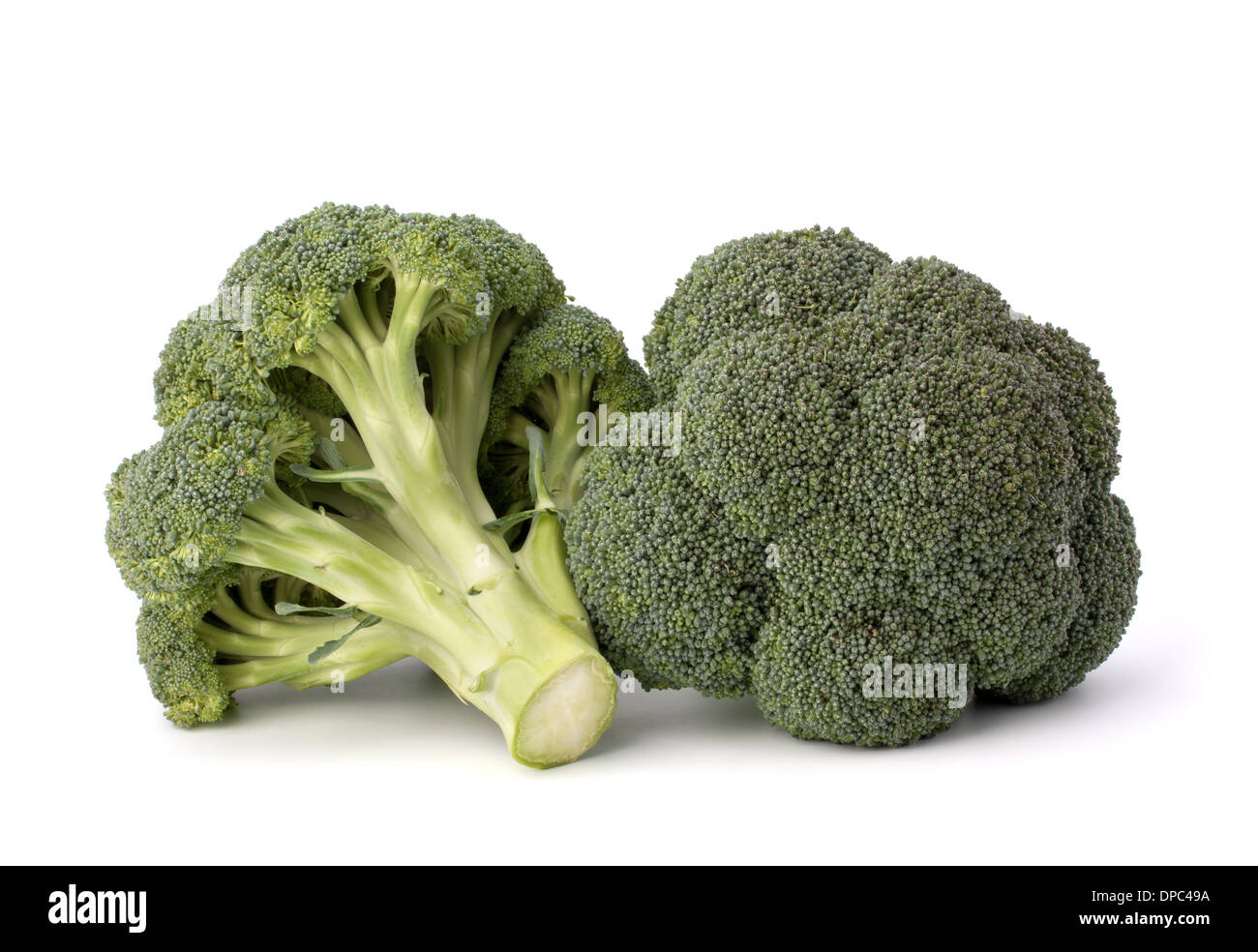 Broccoli vegetable isolated on white background Stock Photo - Alamy